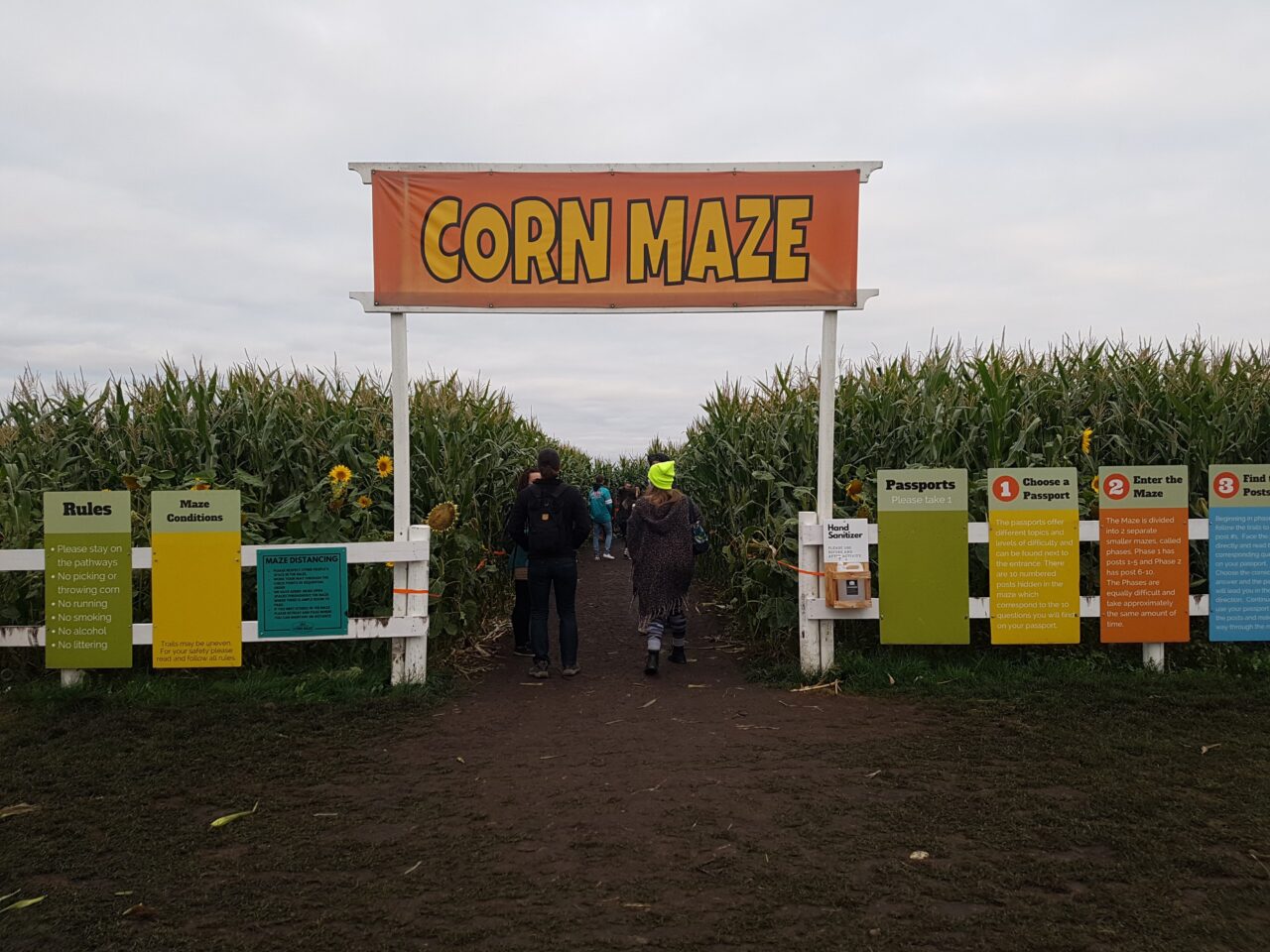 Edmonton’s Corn Maze review | Edmonton Scene