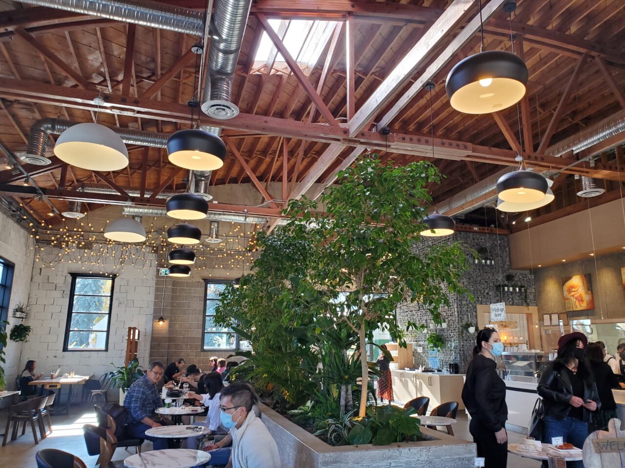 La Bosco Bakery and Café review | Edmonton Scene