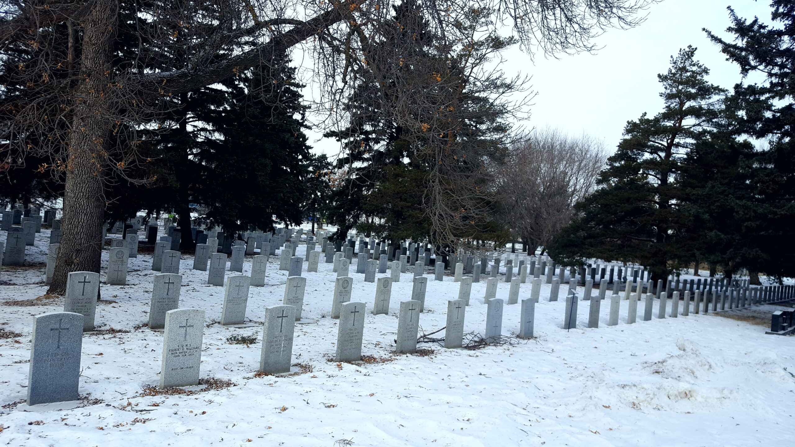 A walk through Edmonton graveyards | Edmonton Scene